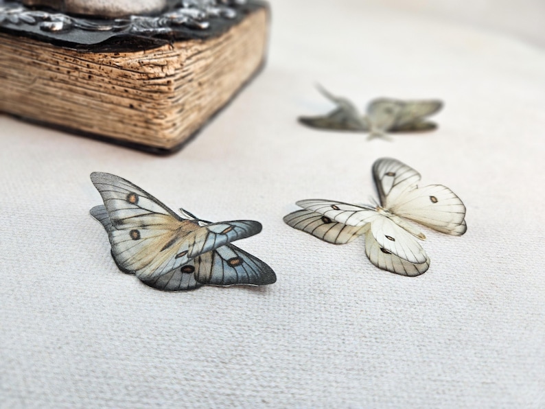 Ghost Silk Moths Mix of 3, Gothic Style Moths With Layered Wings ...