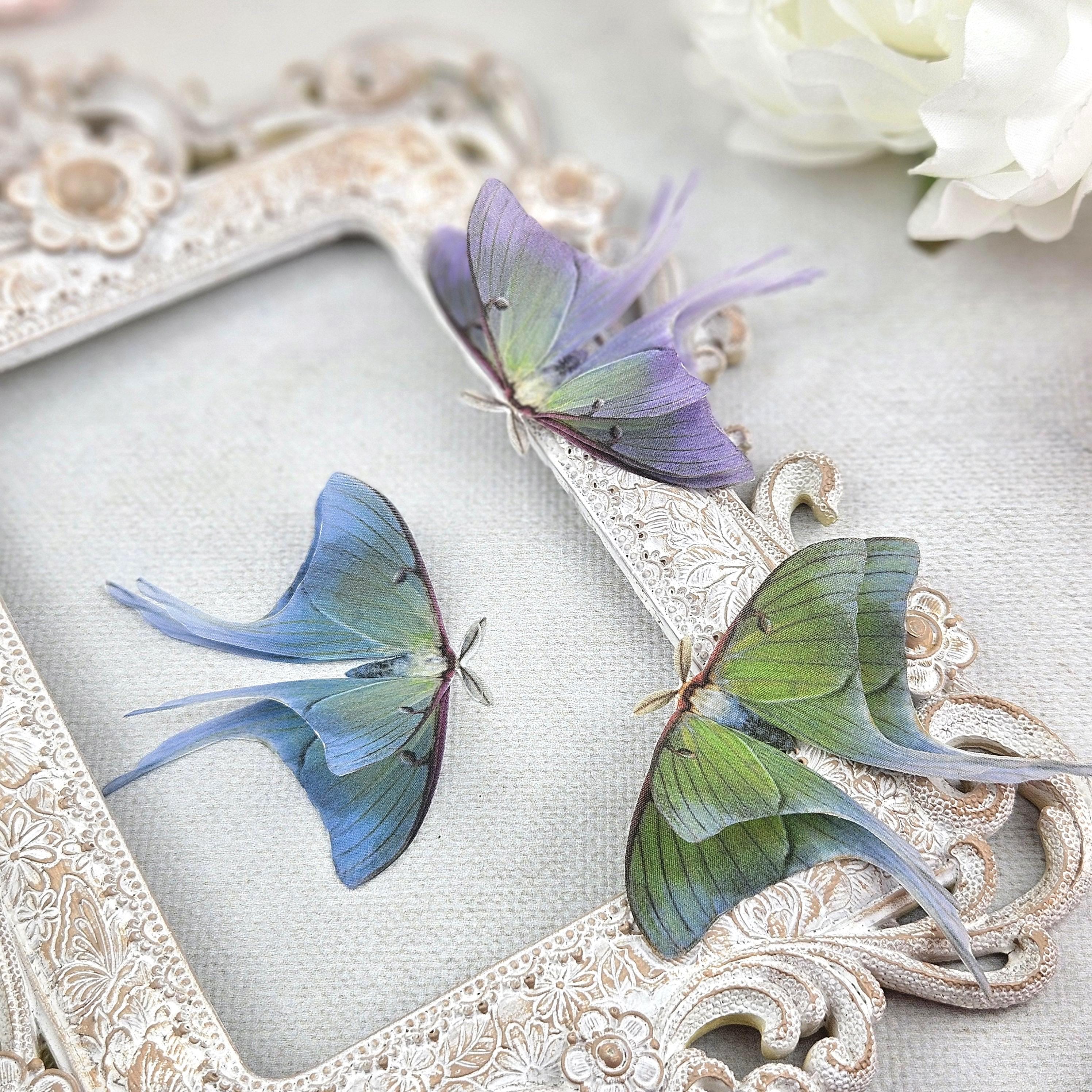 Silk Luna Moth Set of 3, 3D Green Blue Purple Moon Moths With Layered ...