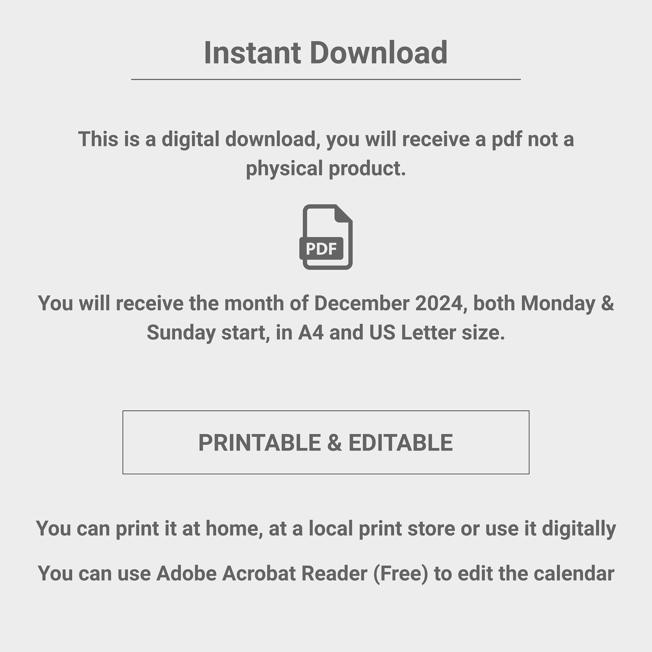 Editable December 2024 Printable Calendar Fillable Printable Digital ...