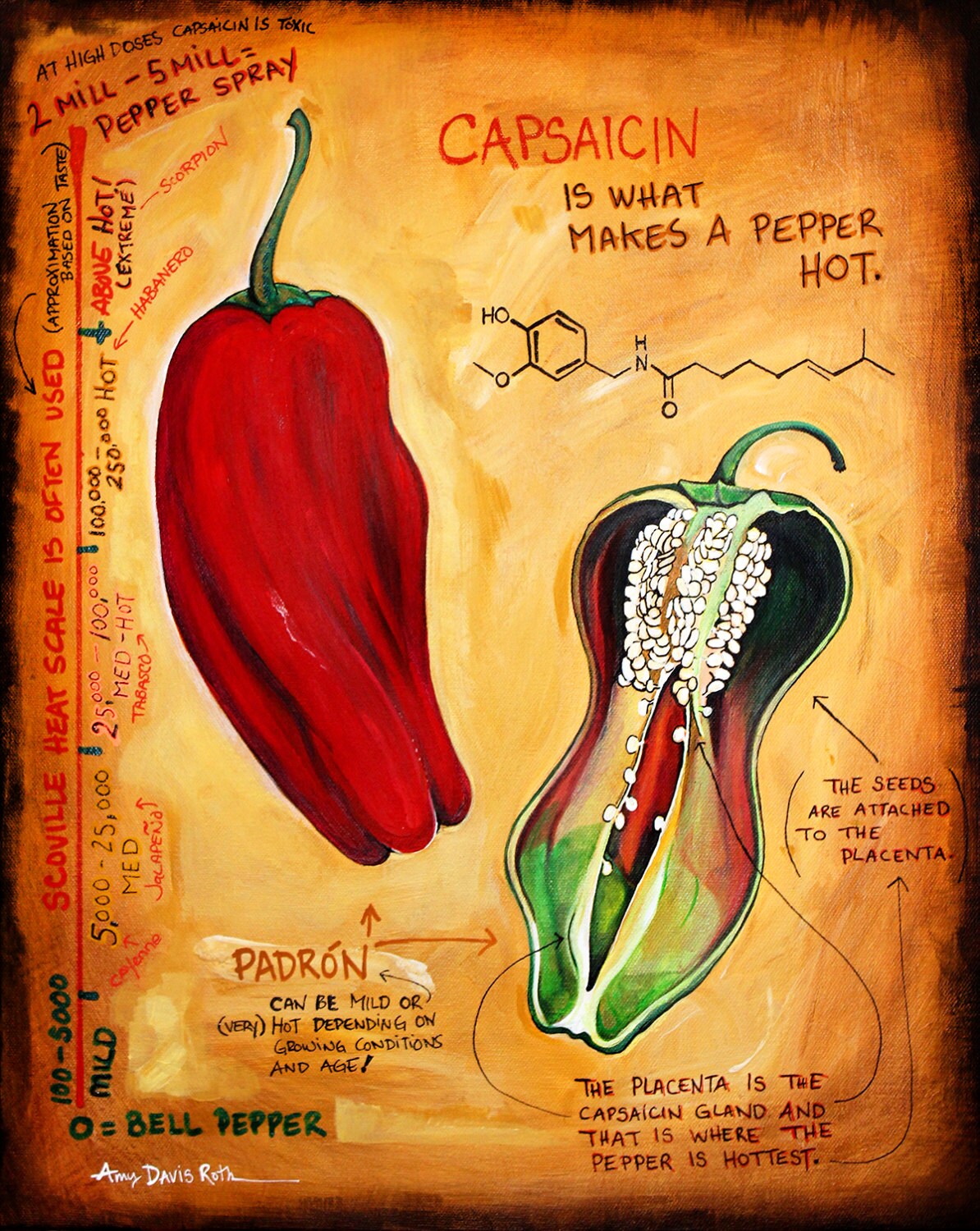 Capsaicin Pepper