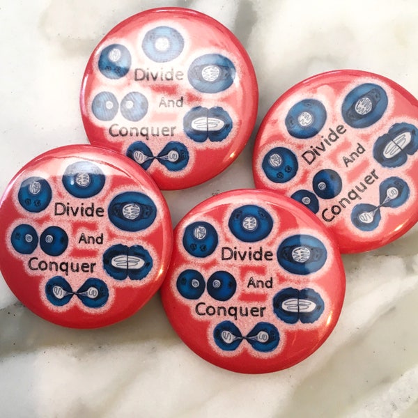 Divide and Conquer - Etsy