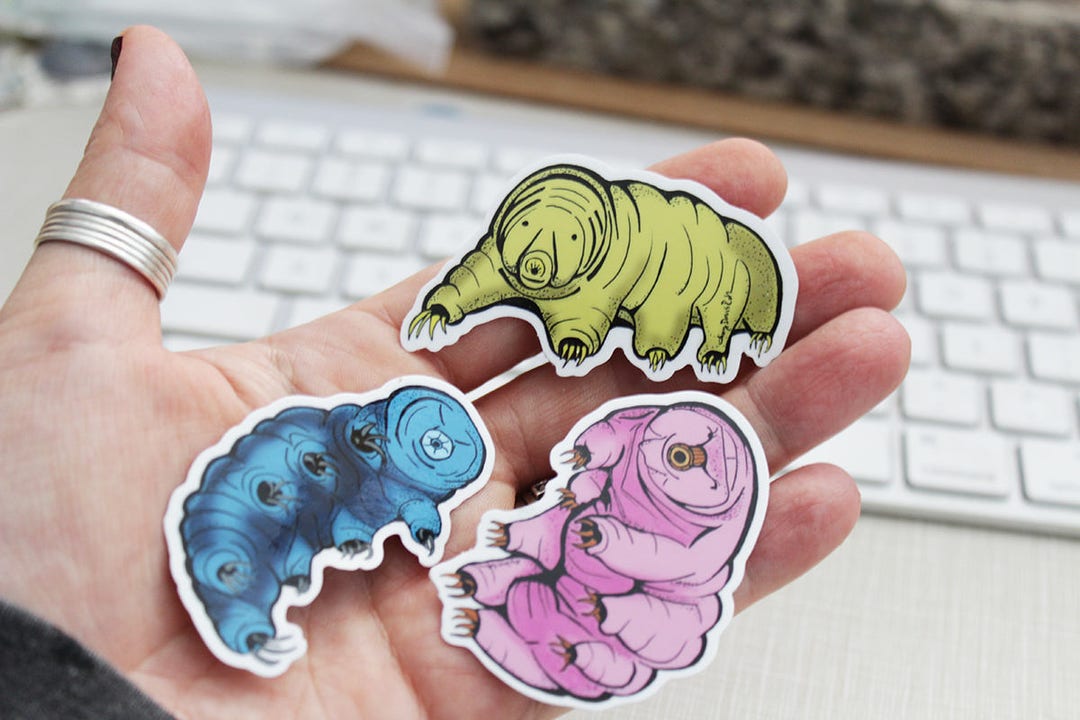 Tardigrade or Water Bear Art Sticker 3 Pack by Surly Amy Davis Roth - Etsy
