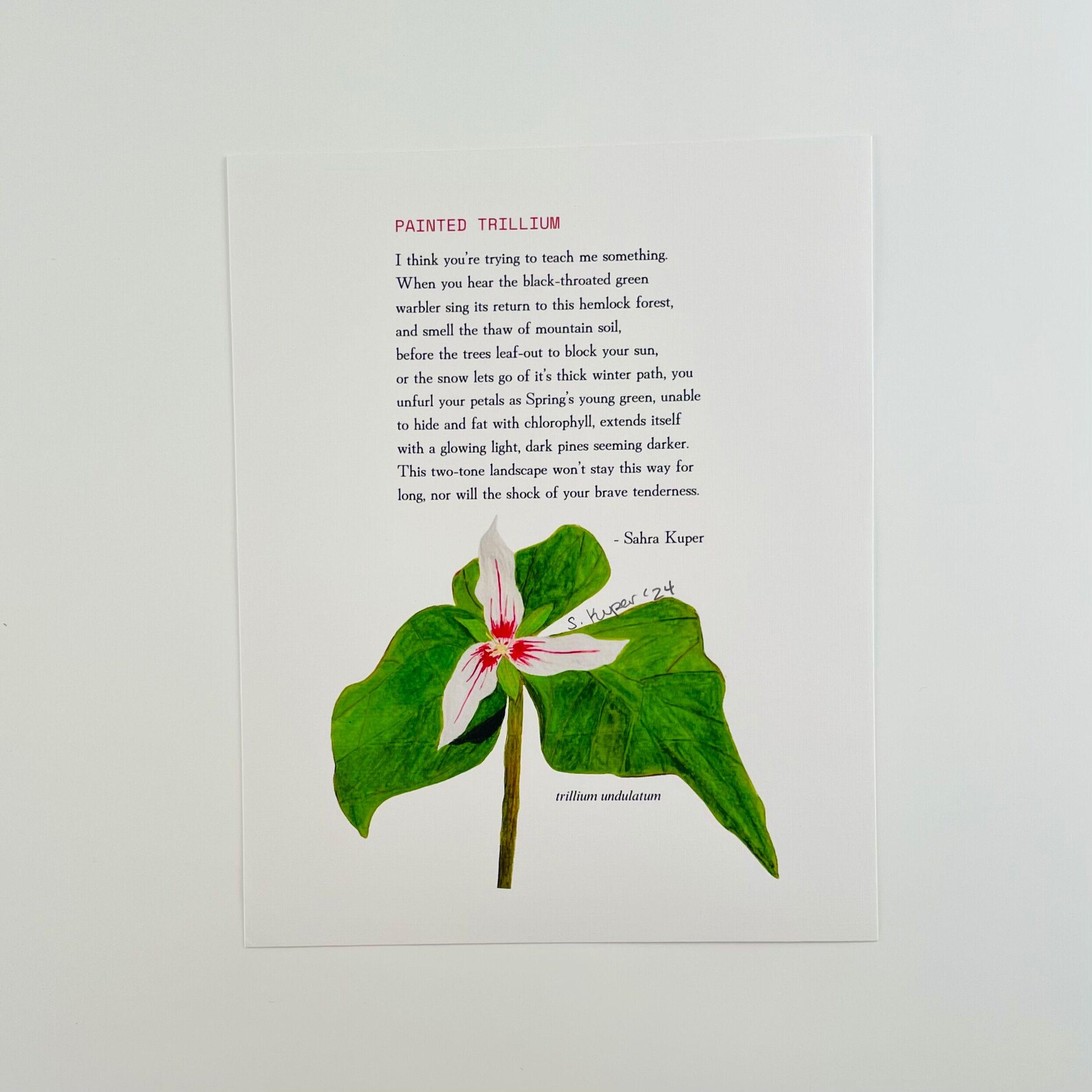 Painted Trillium Poetry Broadside Art Print (frame Not Included ...