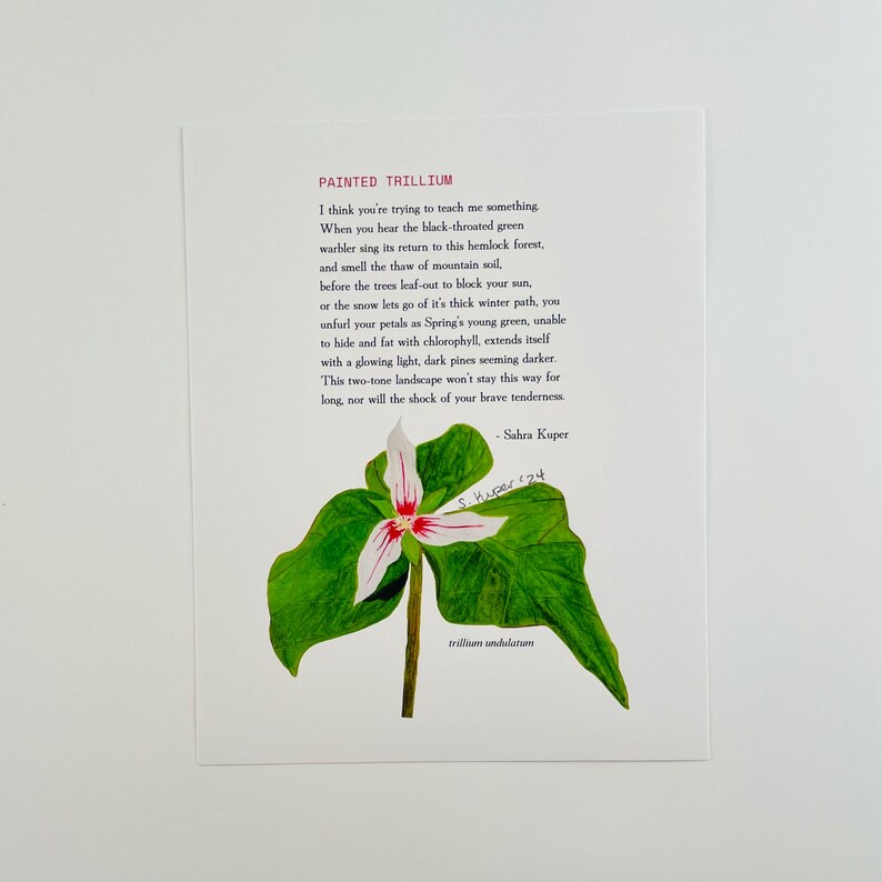 Painted Trillium Poetry Broadside Art Print (frame Not Included ...