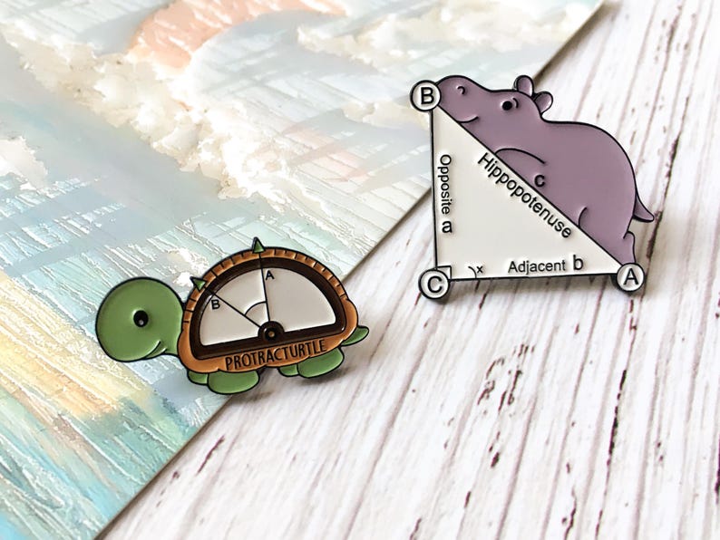 Turtle and Hippo Mathematics Enamel Pin, STEM Badge Pin, Lapel Pin ...