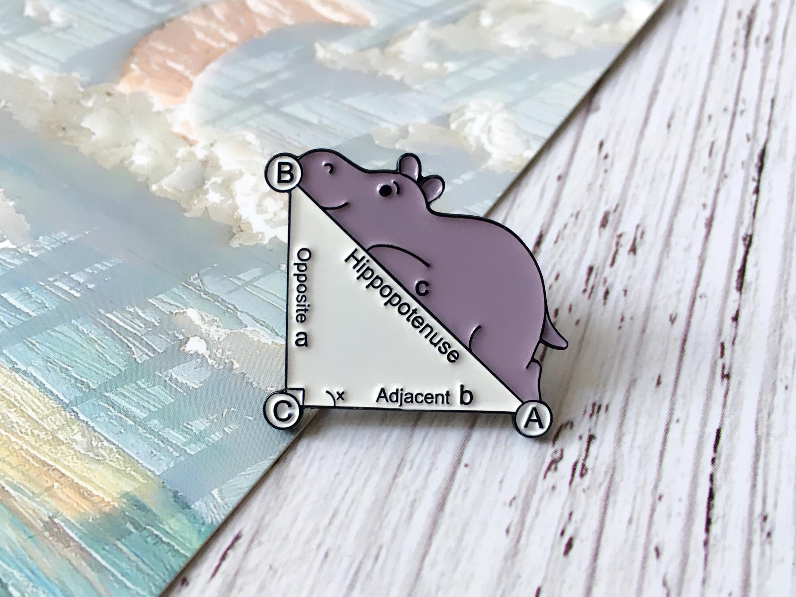 Turtle and Hippo Mathematics Enamel Pin, STEM Badge Pin, Lapel Pin ...