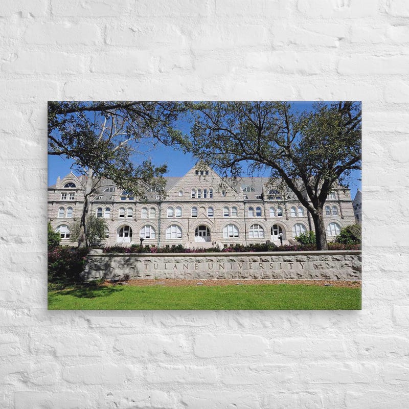 Tulane Art - Etsy