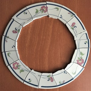 100 Shells, Spectral Bittersweet Clam Shells, Florida Shells - Etsy