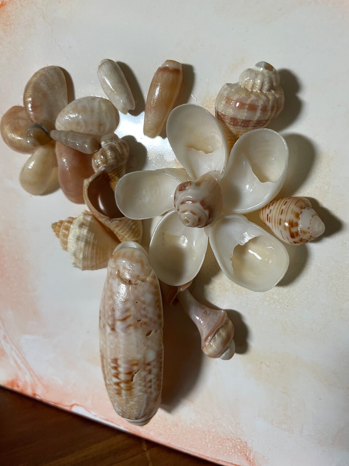 Flower Bouquet Made From Shells, Beach Art, Hanging Tile - Etsy