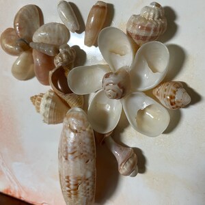 Flower Bouquet Made From Shells, Beach Art, Hanging Tile - Etsy