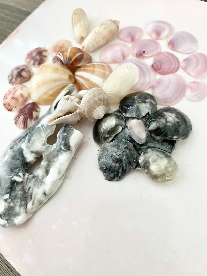 Flower Bouquet Made From Shells, Beach Art, Hanging Tile - Etsy