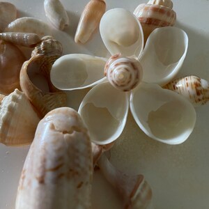 Flower Bouquet Made From Shells, Beach Art, Hanging Tile - Etsy