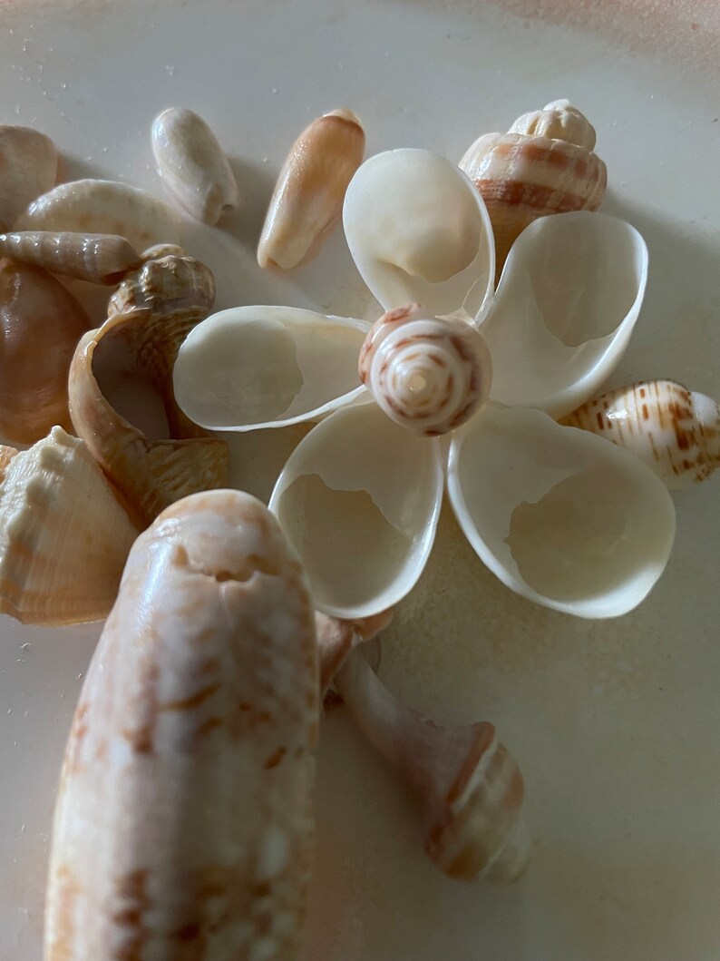 Flower Bouquet Made From Shells, Beach Art, Hanging Tile - Etsy