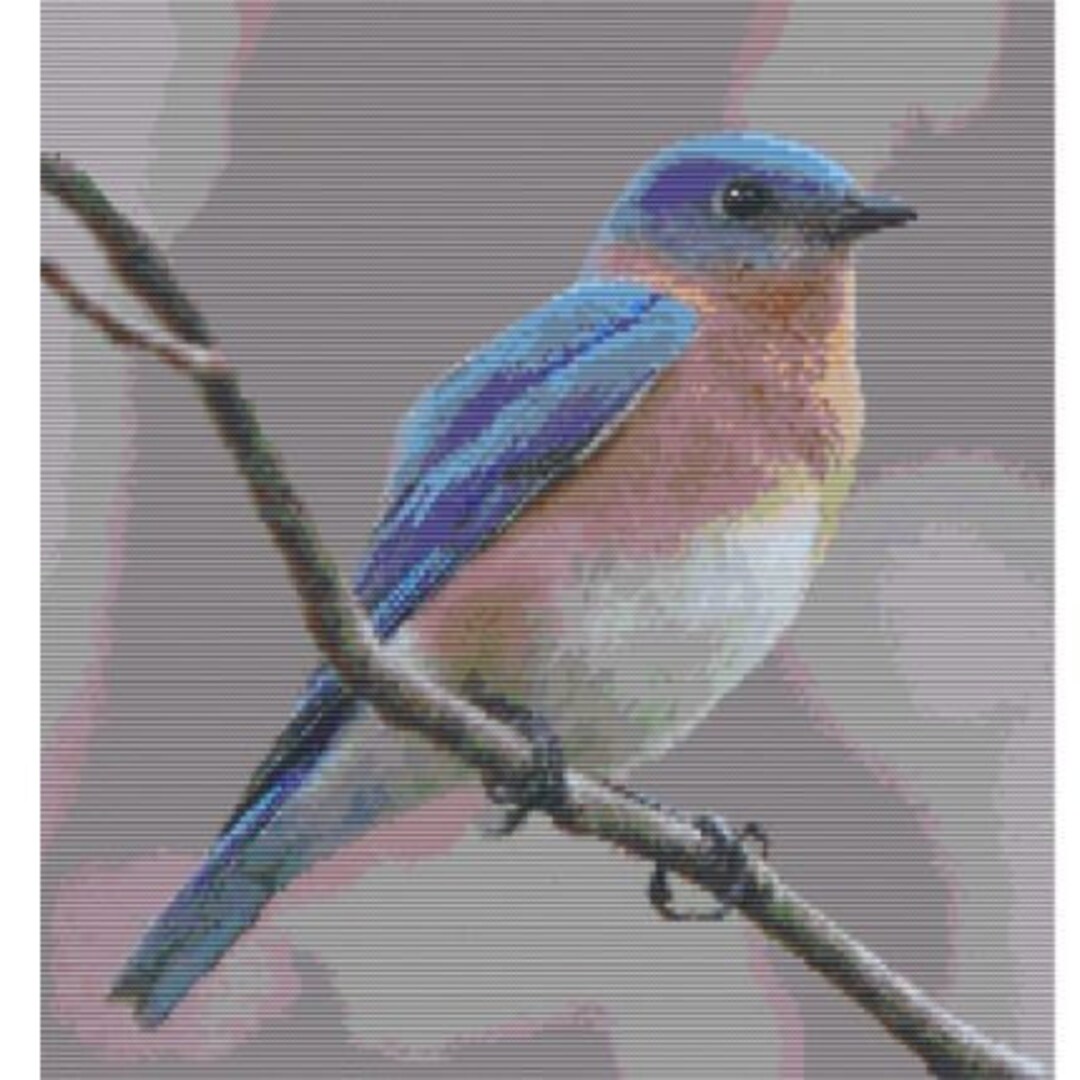 Eastern Bluebird, Pattern for Loom or Peyote - Etsy
