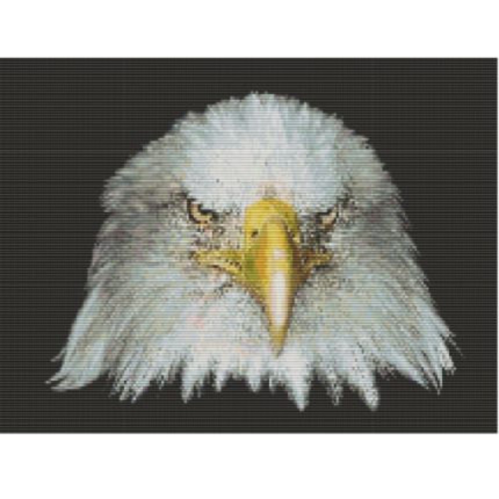 Bald Eagle, Pattern for Loom or Peyote - Etsy