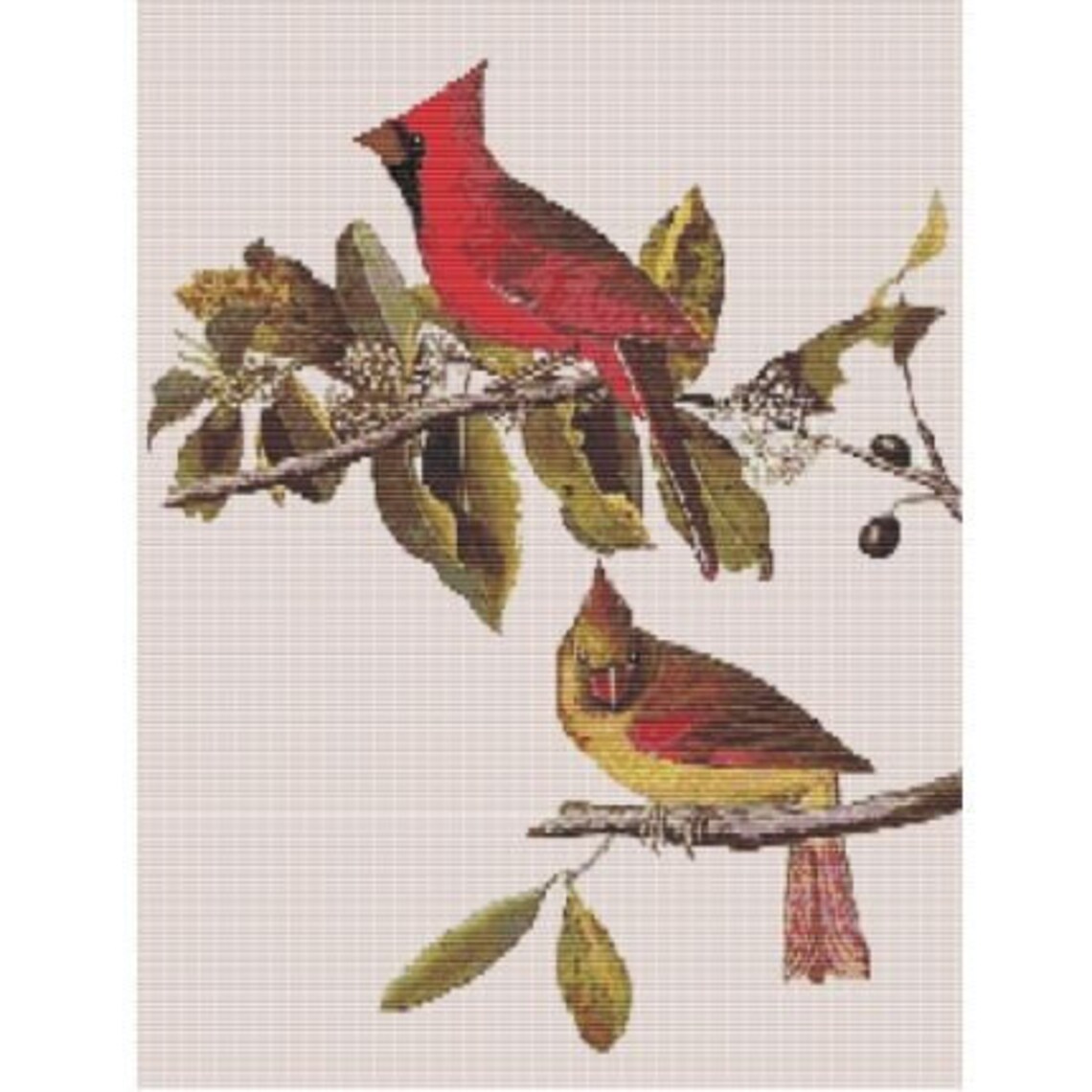 Audubon Cardinal Pair,bead Pattern for Loom or Peyote - Etsy