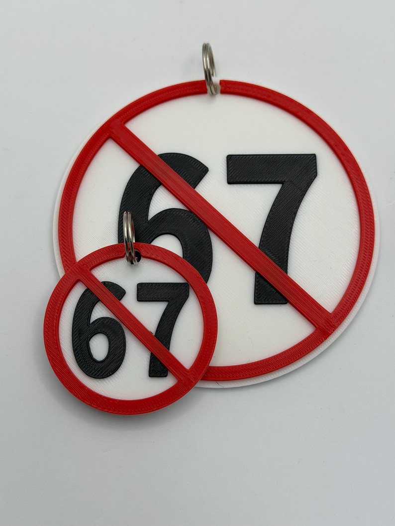 Ban 67 Keyring – Tik-tok Brainrot, No 67 Zone, 3D Printed - Etsy
