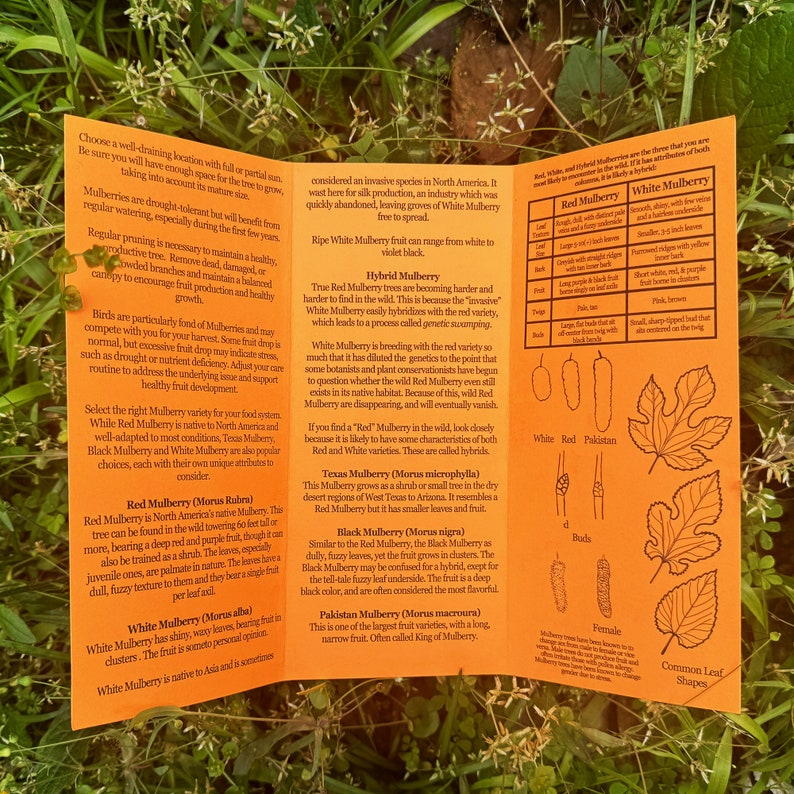 Informational Pamphlet From Roganville Farms - Etsy