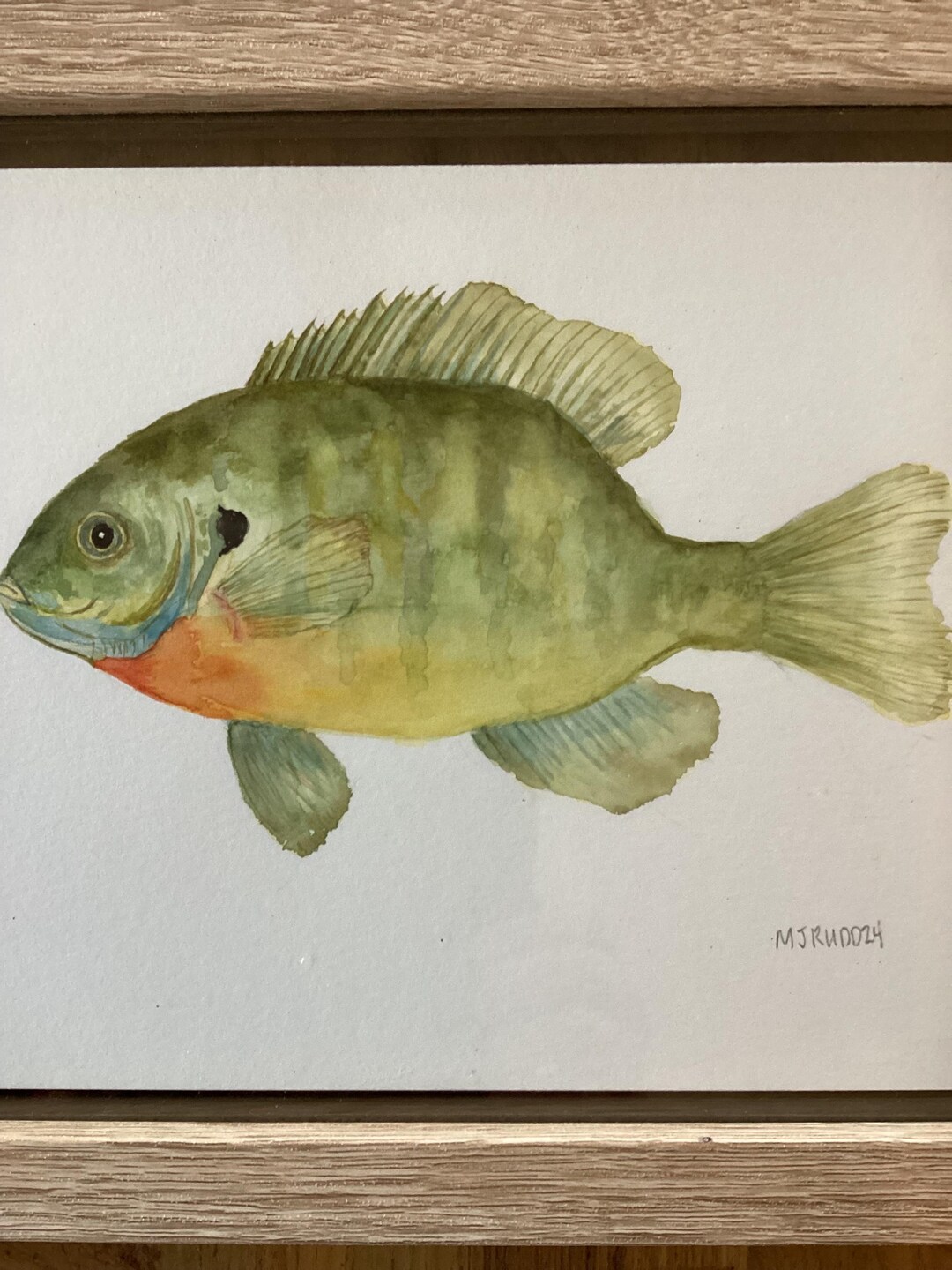 Colorful Sunfish Wall Art - Original Watercolor in Frame - Etsy
