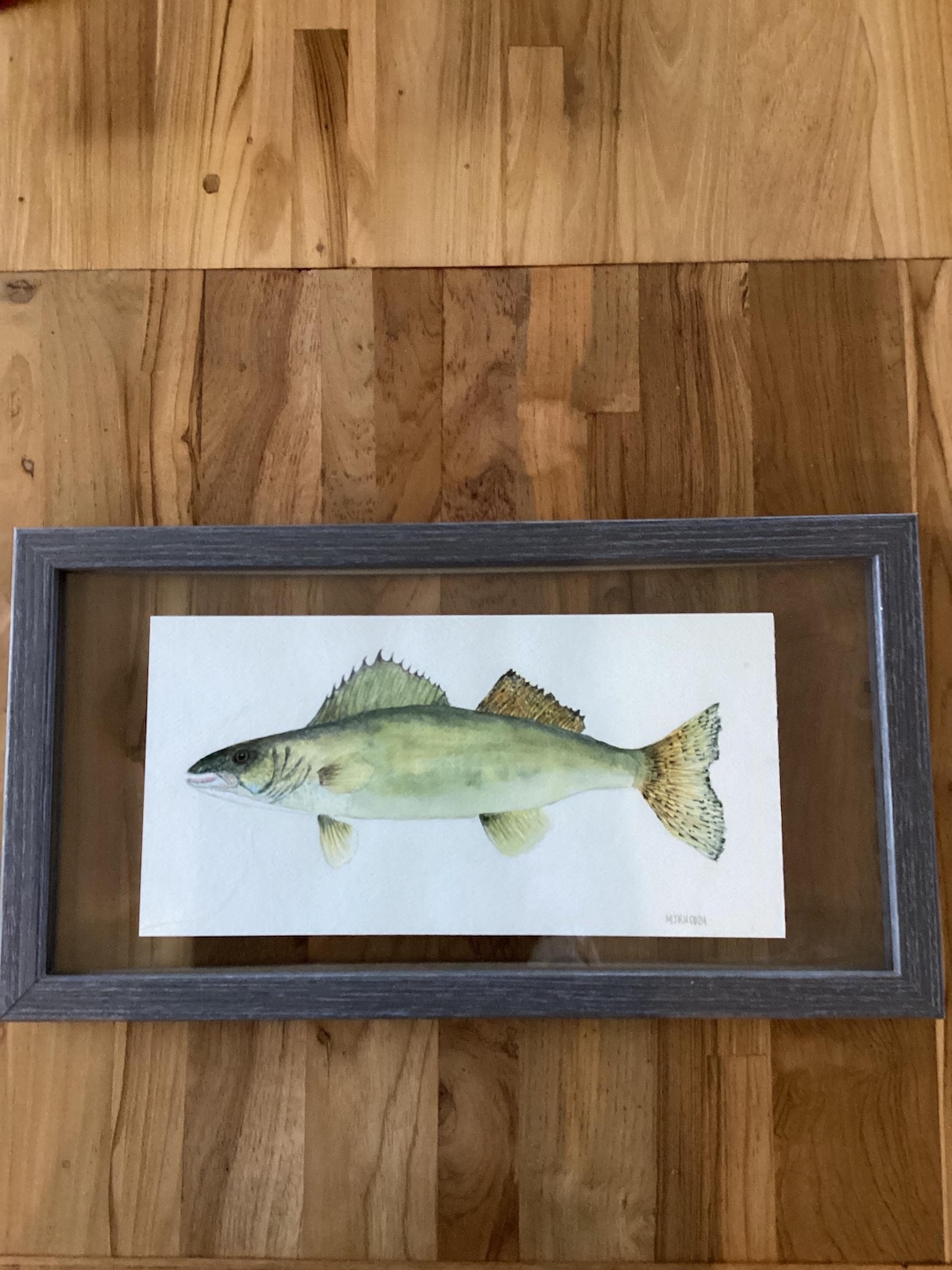 Custom Watercolor Walleye Painting in Frame - Fisherman Gift Idea - Etsy