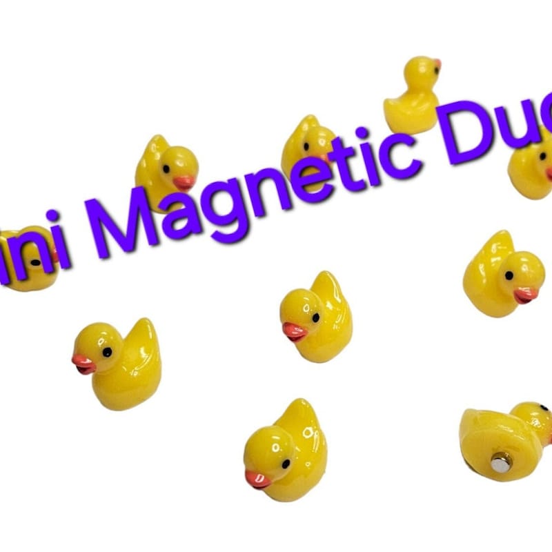 Micro Magnets Cute - Etsy