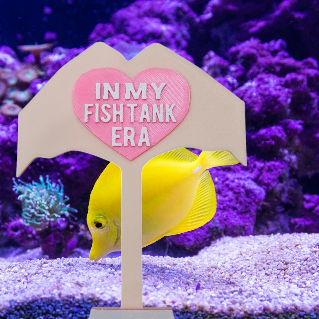 In My Fish Tank Era Fish Tank Sign Aquarium Decor - Etsy