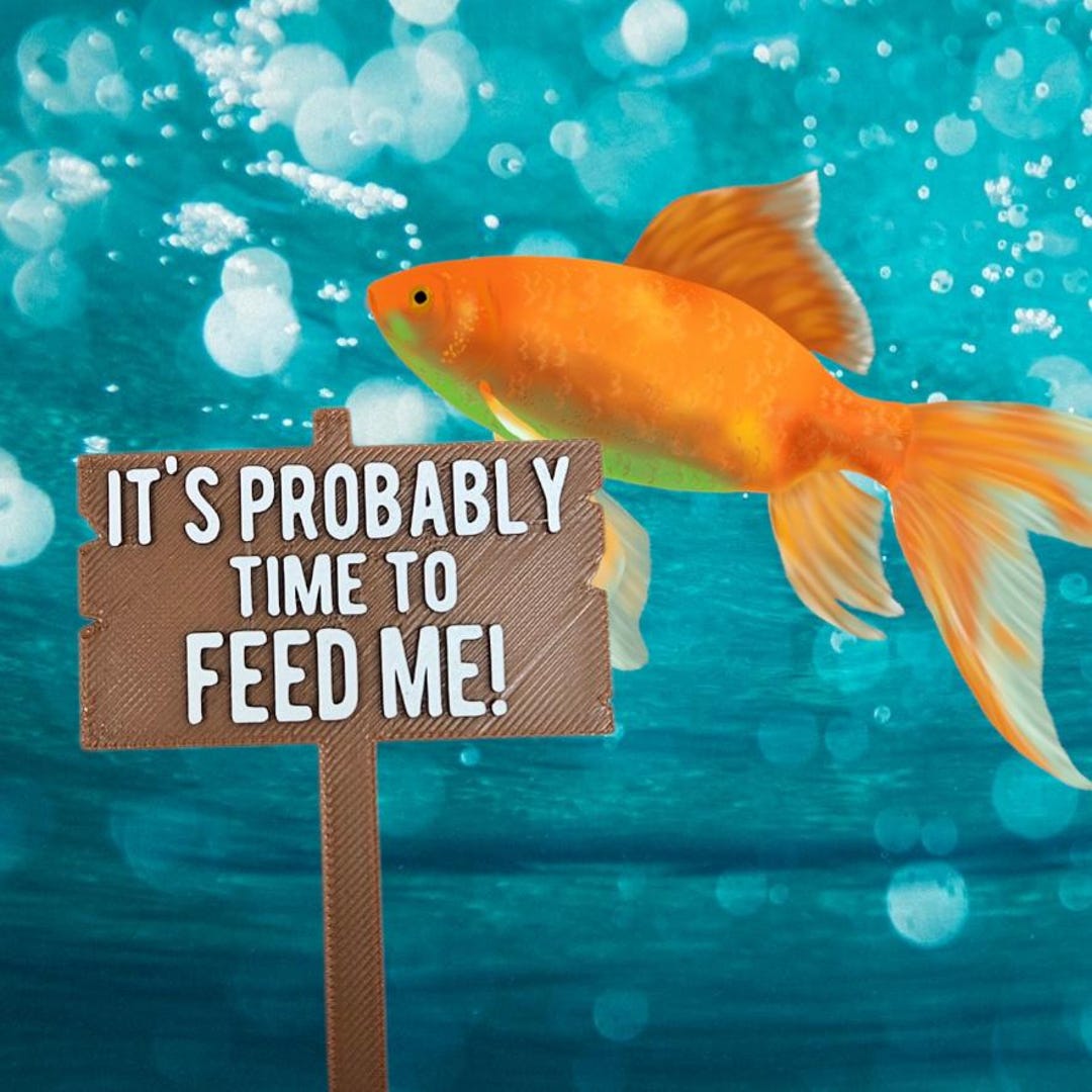 Funny Fish Tank Decor Feed Me Sign Fish Feeder Reminder - Etsy