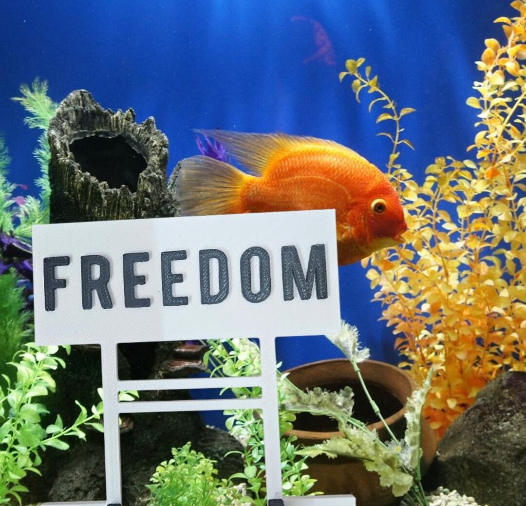 Fish Tank Freedom Charlie Kirk Sign for Aquarium or Betta Fish Tank ...