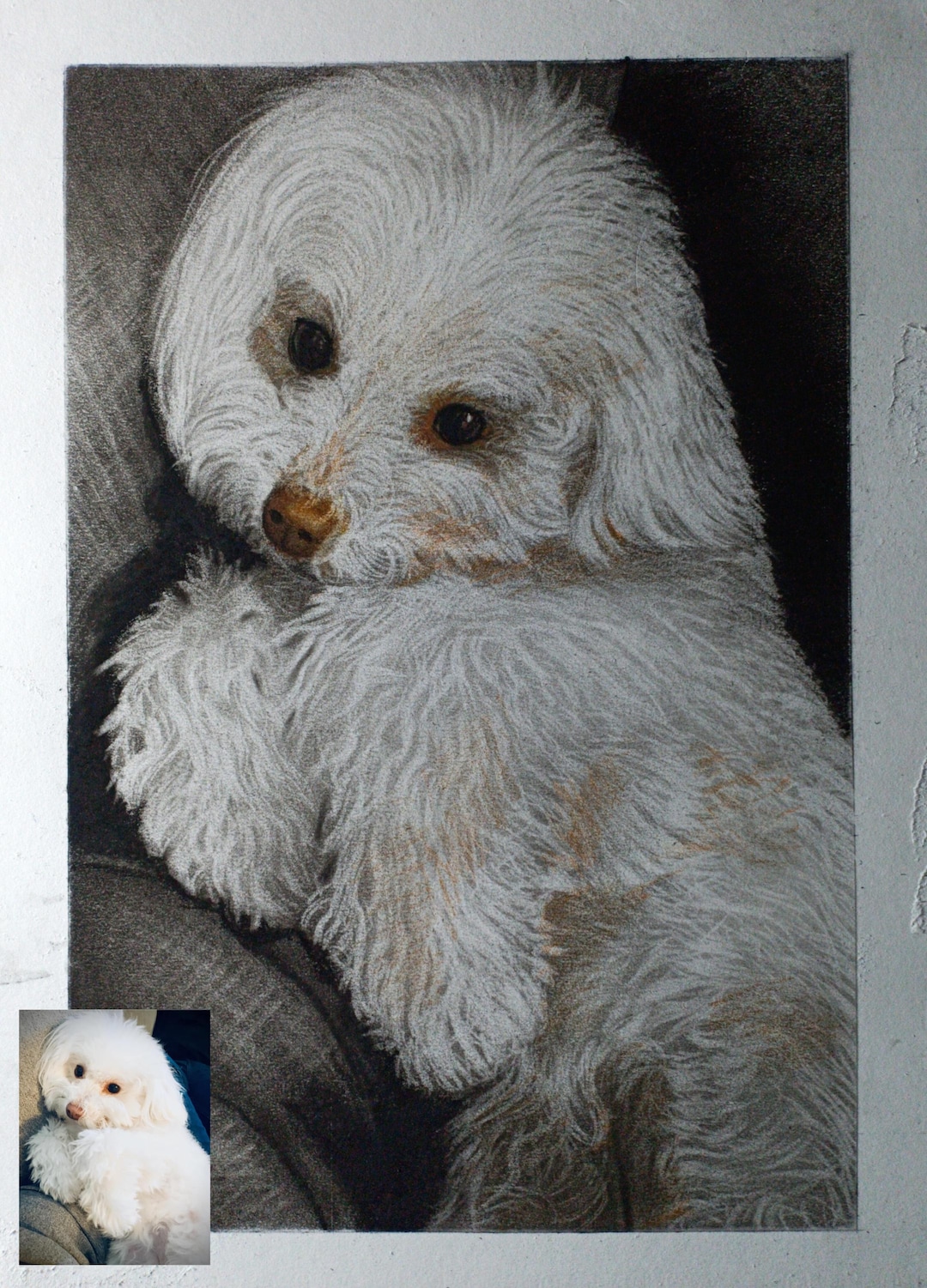 Drawing Pets , Custom Drawing, Handmade, Gift , Drawing a Dog - Etsy