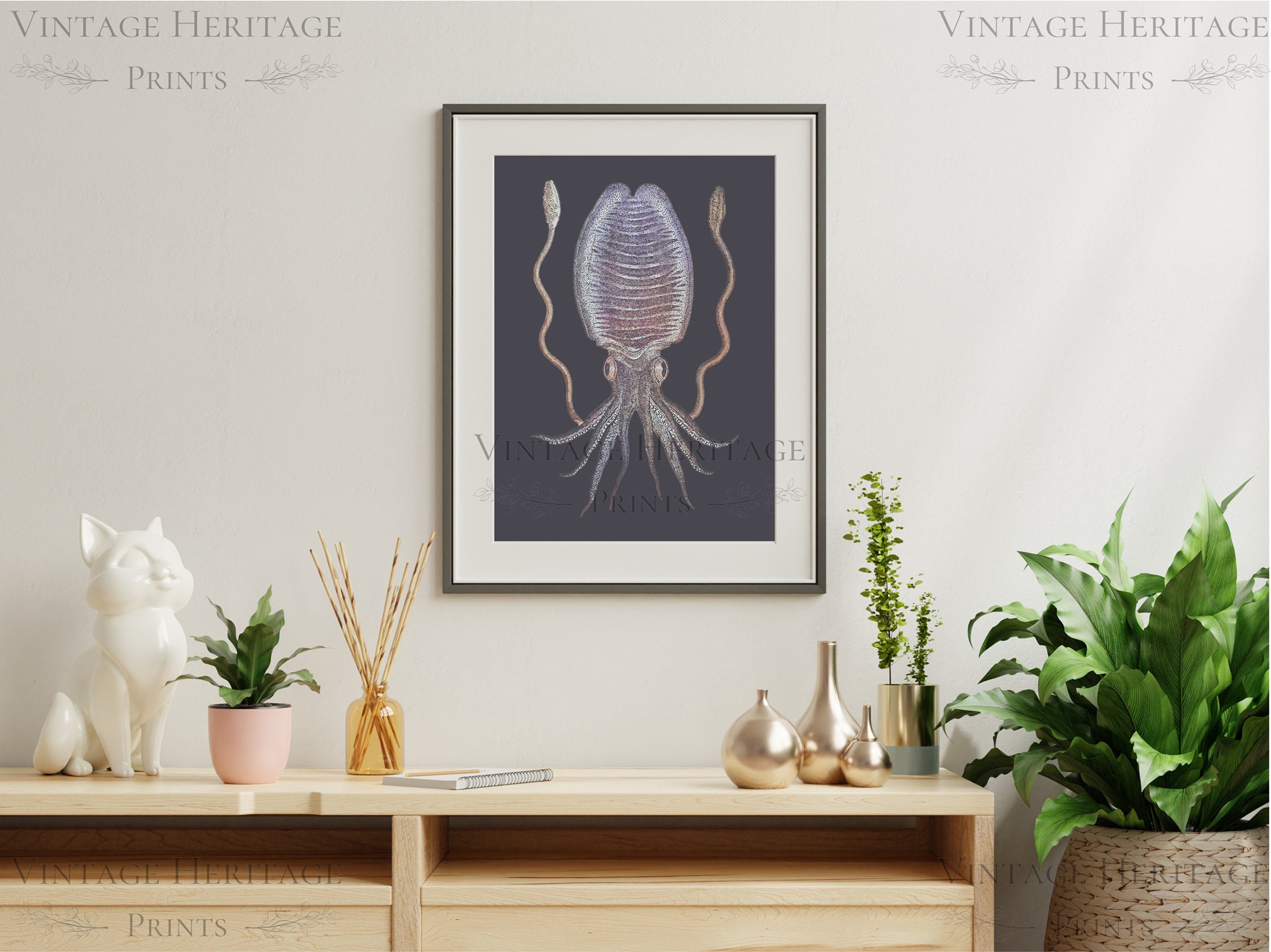 1800s Cuttlefish Line Drawing, Full Color 19th-century Vintage Art ...