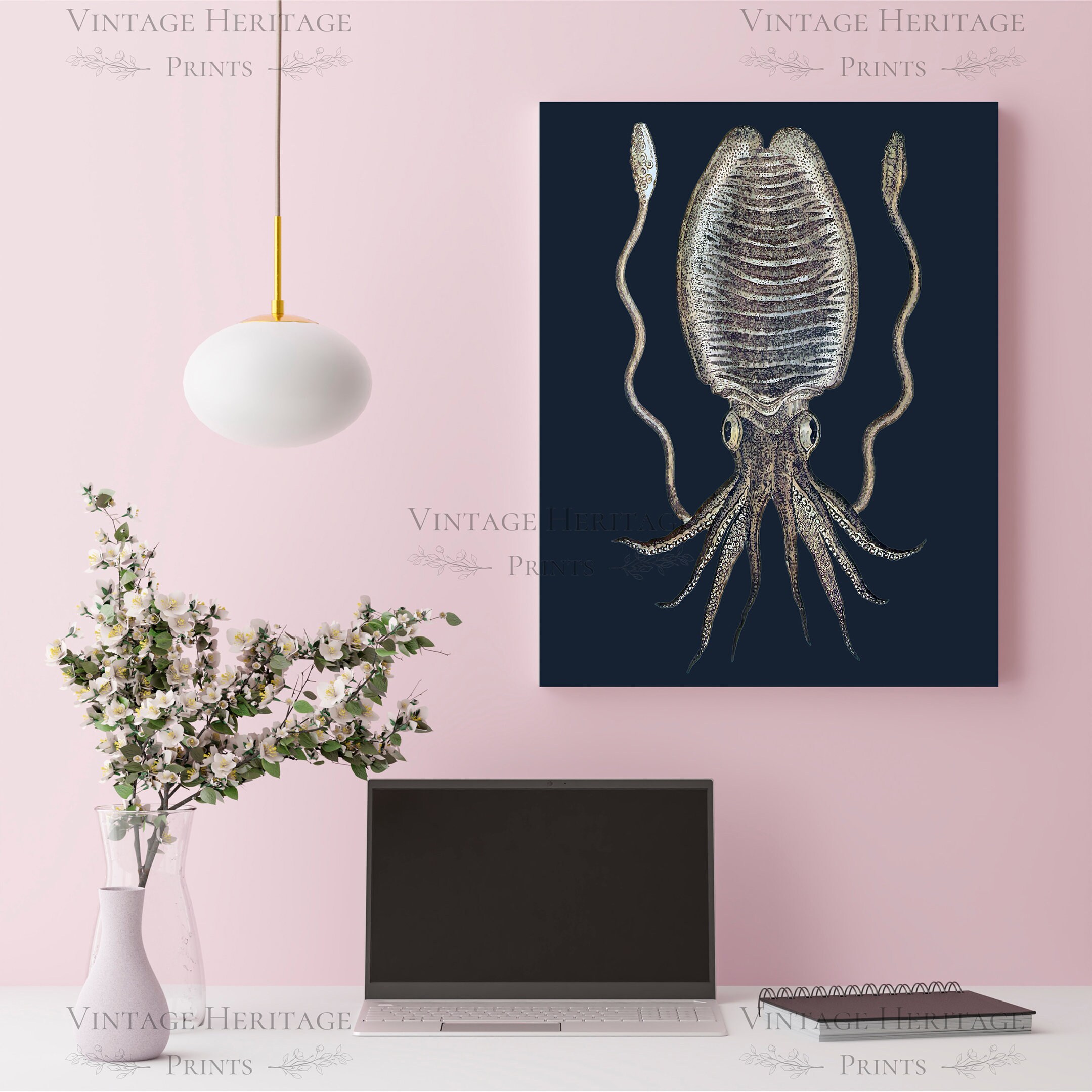 1800s Line Drawing Cuttlefish, Full Color 19th-century Vintage Art ...