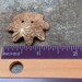 Large 1" Bronze Metal Clay Button in Flower Shape With Flower Pattern ...