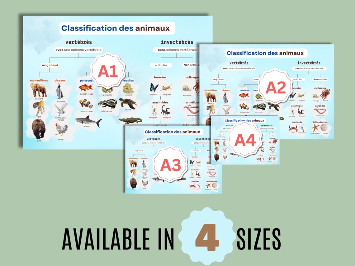 Classifications of Animals,vertebrate and Invertebrate Chart, Classroom ...