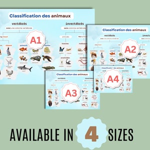 Classifications of Animals,vertebrate and Invertebrate Chart, Classroom ...