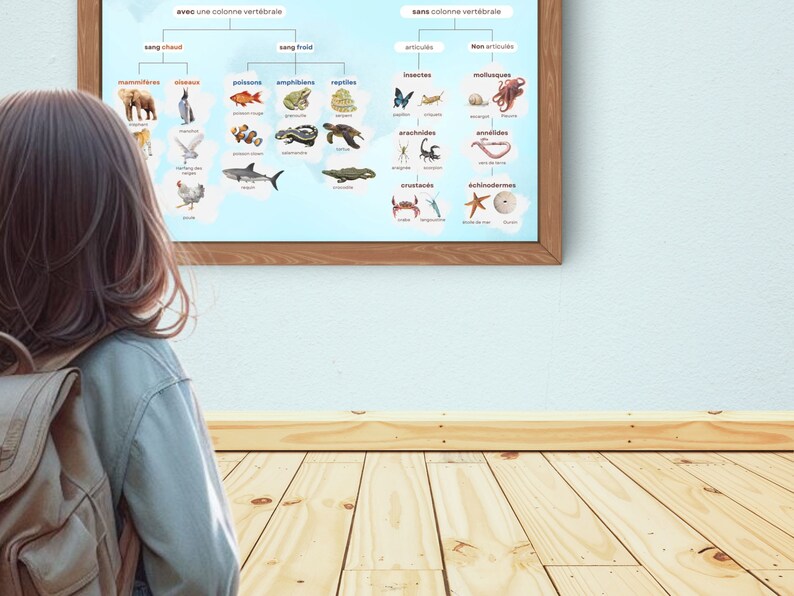 Classifications of Animals,vertebrate and Invertebrate Chart, Classroom ...