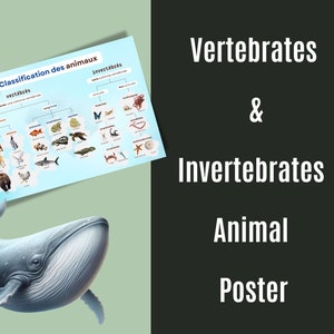 Classifications of Animals,vertebrate and Invertebrate Chart, Classroom ...
