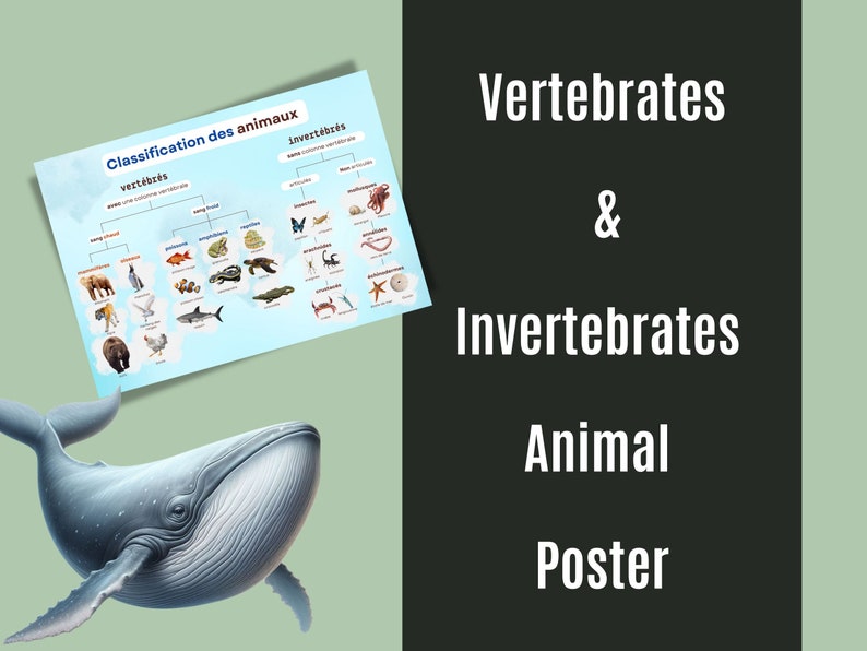 Classifications of Animals,vertebrate and Invertebrate Chart, Classroom ...