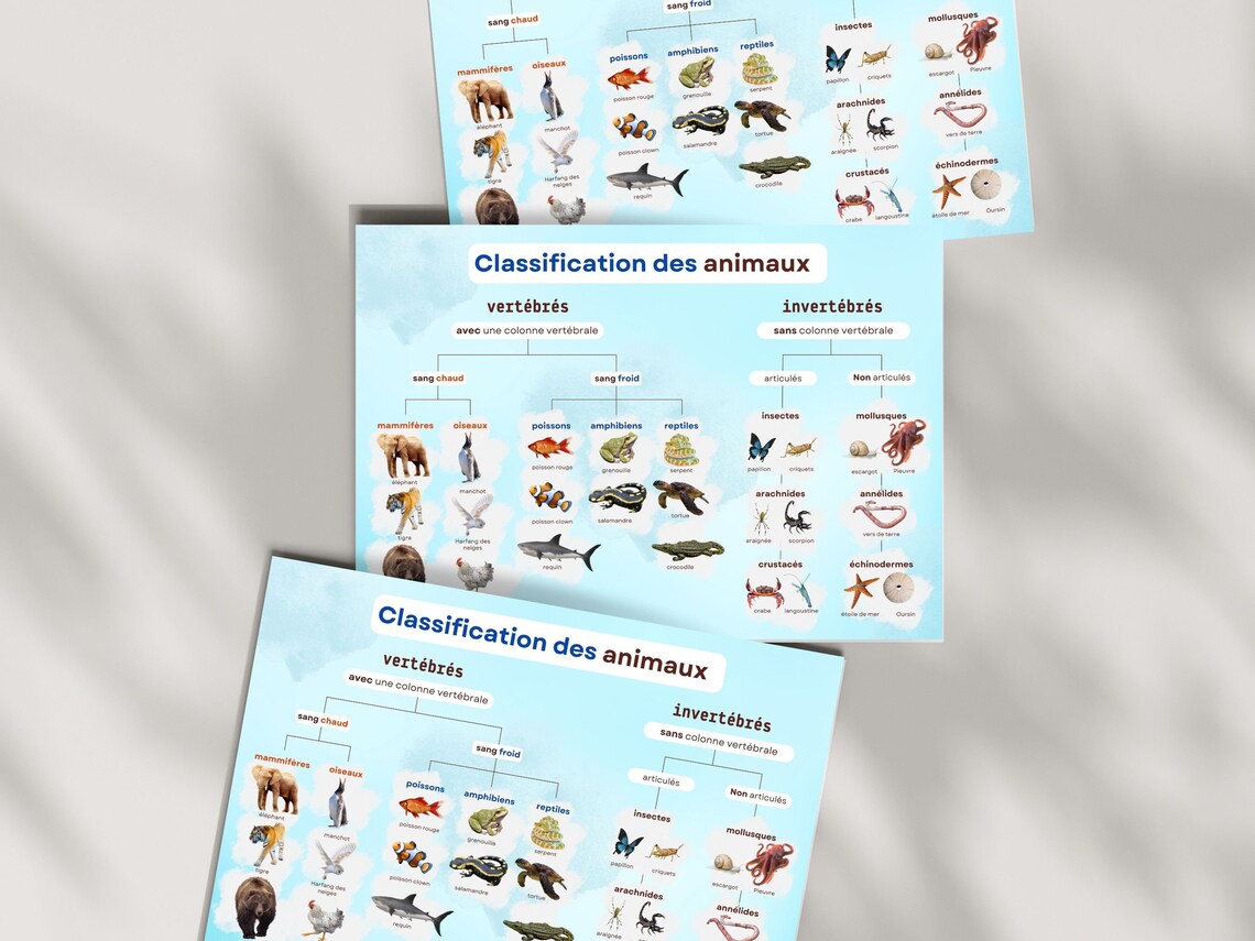 Classifications of Animals,vertebrate and Invertebrate Chart, Classroom ...
