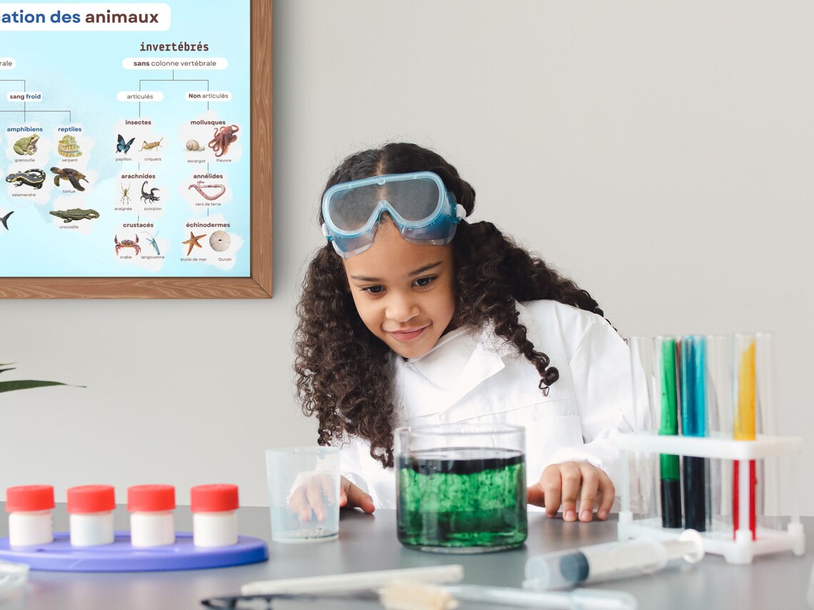 Classifications of Animals,vertebrate and Invertebrate Chart, Classroom ...