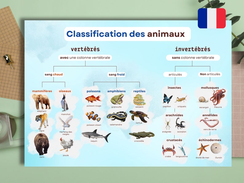 Classifications of Animals,vertebrate and Invertebrate Chart, Classroom ...