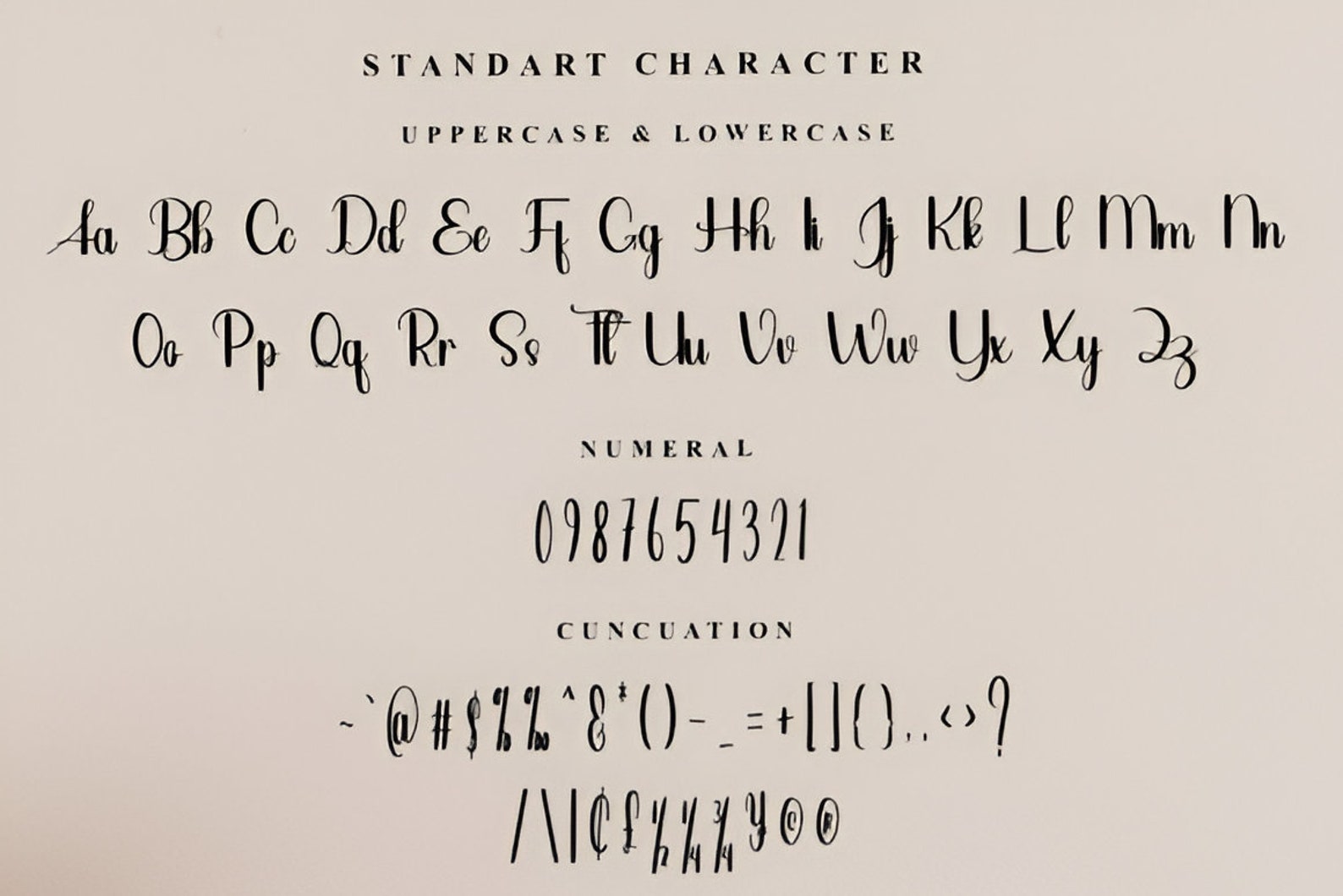 Vintage Calligraphy Font Digital Download, Elegant Script Typeface ...