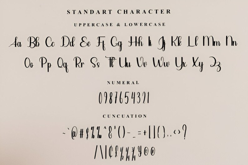 Vintage Calligraphy Font Digital Download, Elegant Script Typeface ...