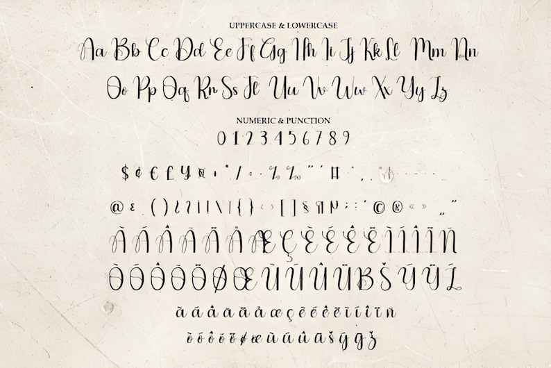 Vintage Calligraphy Font Digital Download, Elegant Script Typeface ...