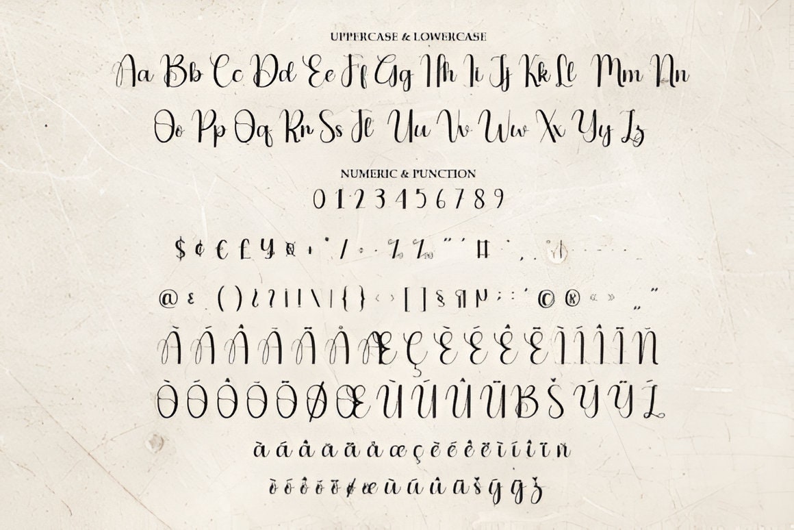 Vintage Calligraphy Font Digital Download, Elegant Script Typeface ...