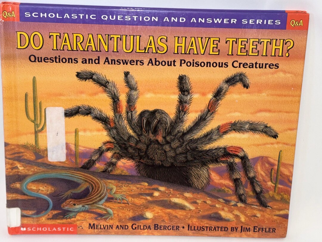 1999 Do Tarantulas Have Teeth ? Vintage Children’s Book Question and ...