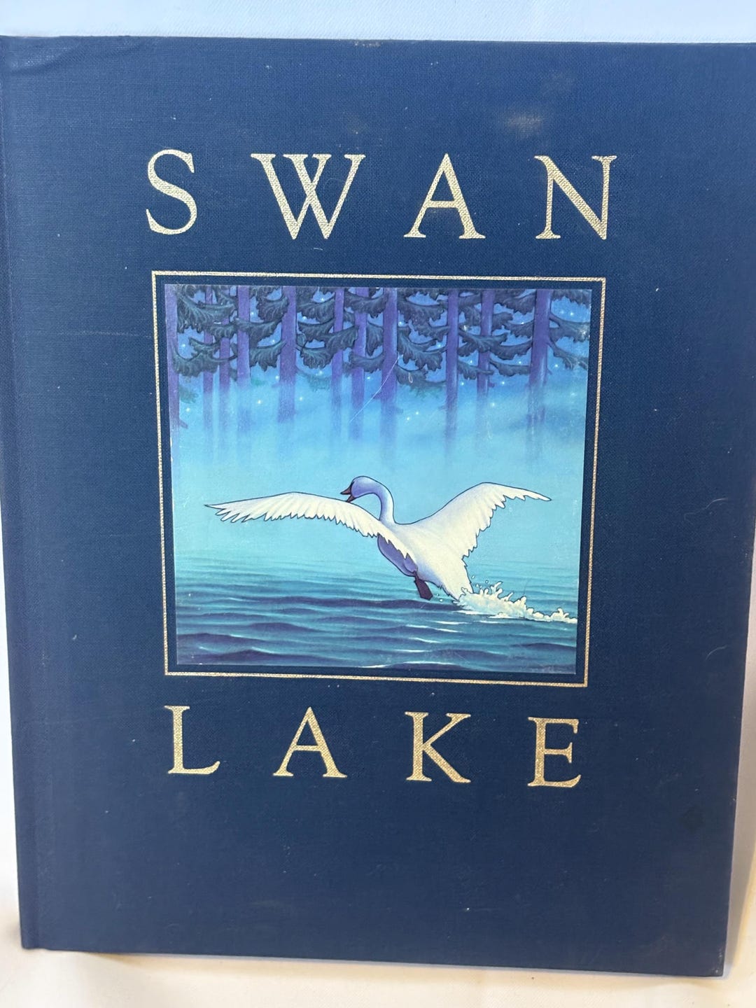 Swan Lake / Mark Helprin/ 1989 Illustrated Vintage / Fantasy/ Picture ...
