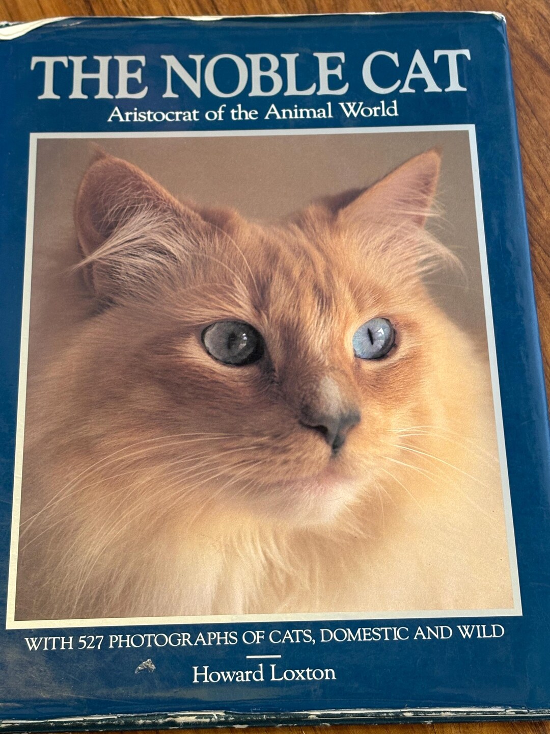 The Noble Cat. Extra Large Hardcover Book With Dust Jacket. Cat ...