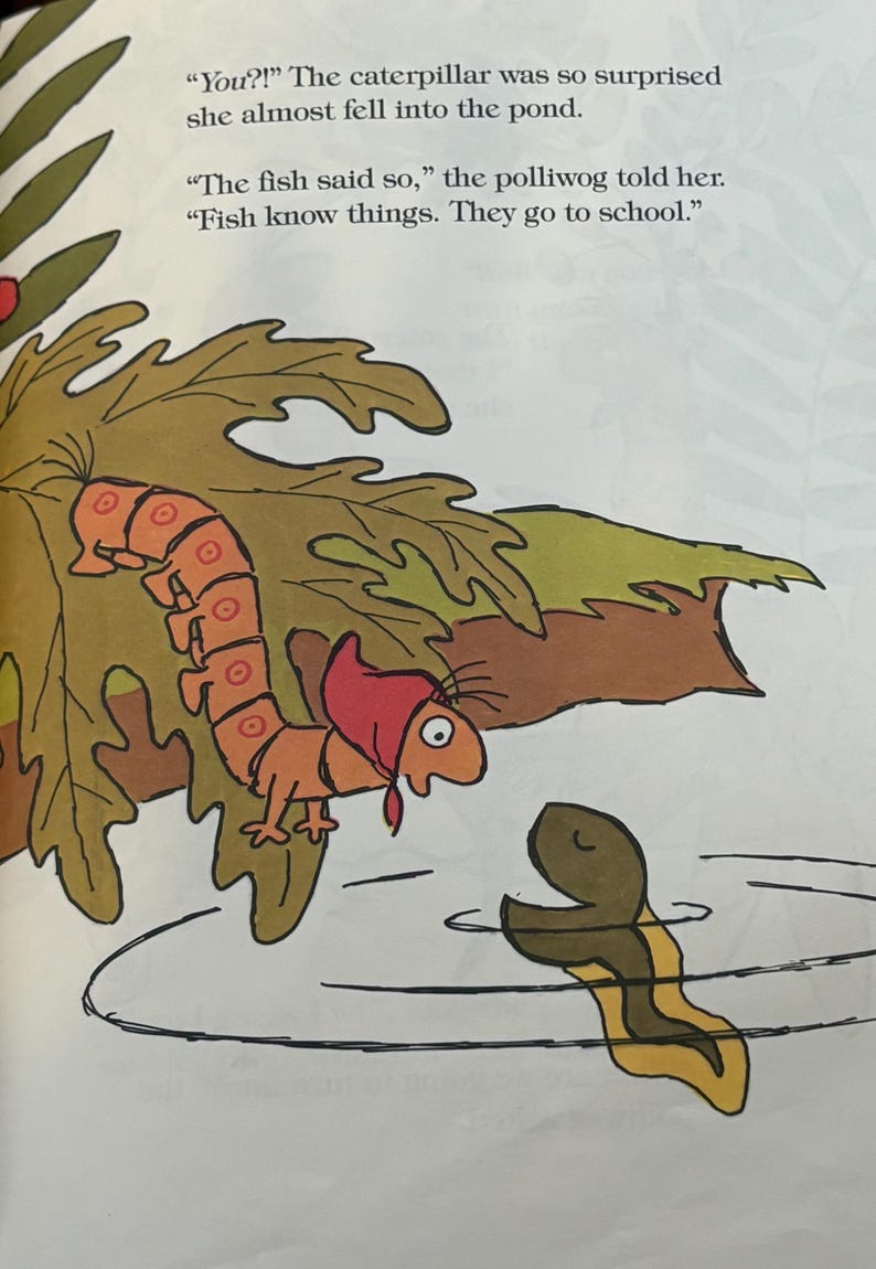 Vintage Children’s Hardcover Book 80’s the Catapillar and the Polliwog ...