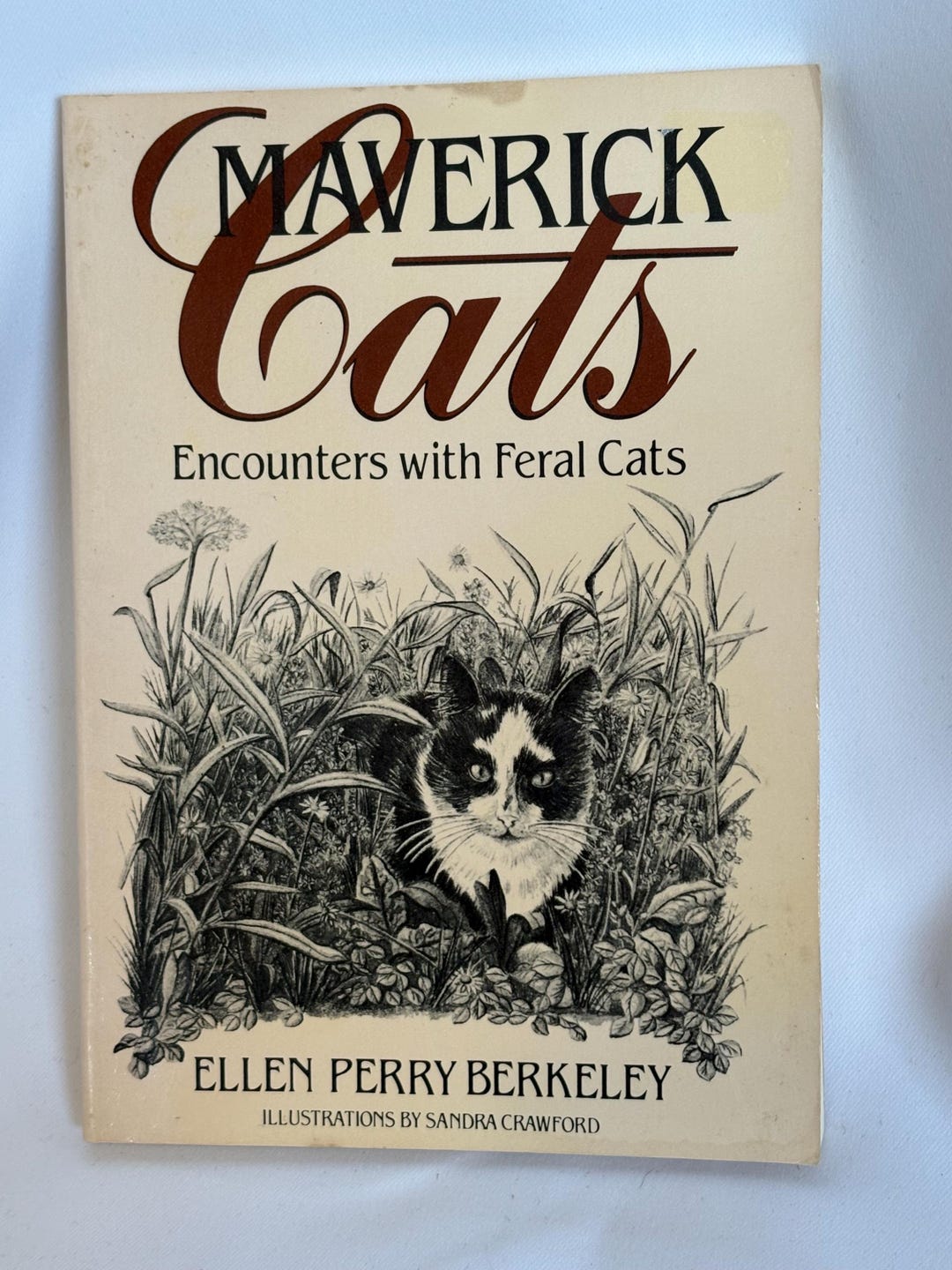 1982 Maverick Cats First Edition Encounters With Feral Cats Illustrated ...