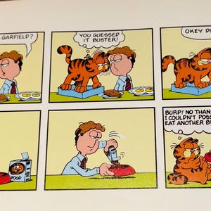 Garfield on the Town Vintage Book 1978 - Etsy